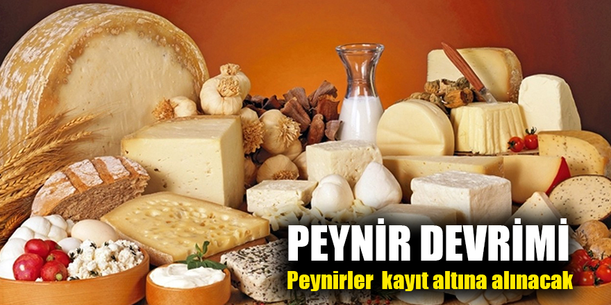 PEYNİR DEVRİMİ - Gaziantep Son Dakika Haberleri - Gaziantep27 PEYNİR DEVRİMİ - Gaziantep Son Dakika Haberleri - Gaziantep27
