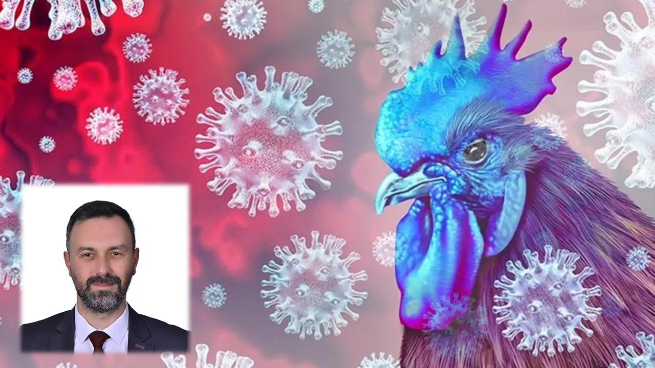 Aile hekiminden kuş gribi uyarısı - Gaziantep Son Dakika Haberleri ...